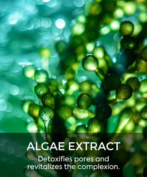 Algae Extract – FYC PROFESSIONAL
